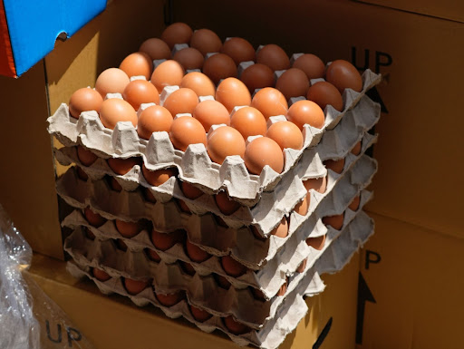 7 Surprising Ways Plastic Packaging Trays Outperform Cardboard Packaging